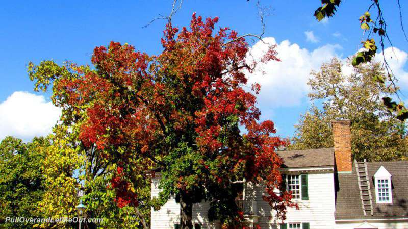 Five Reasons You'll Fall For Colonial Williamsburg ...