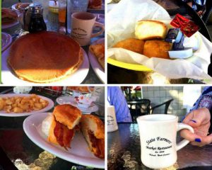 10 Fun Things to Do in Raleigh, North Carolina - PullOverAndLetMeOut.Com