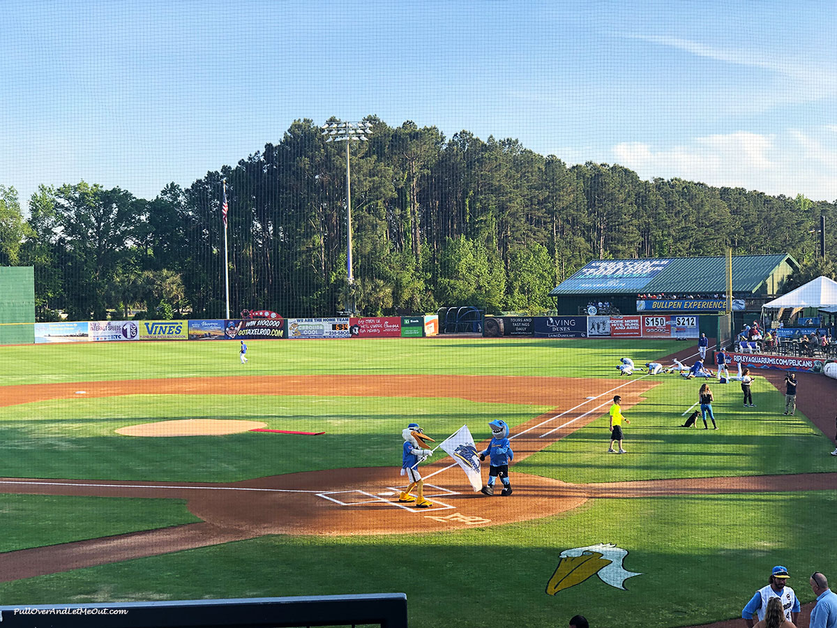 Myrtle Beach Pelicans - A Day At The Ballpark - PullOverAndLetMeOut.Com