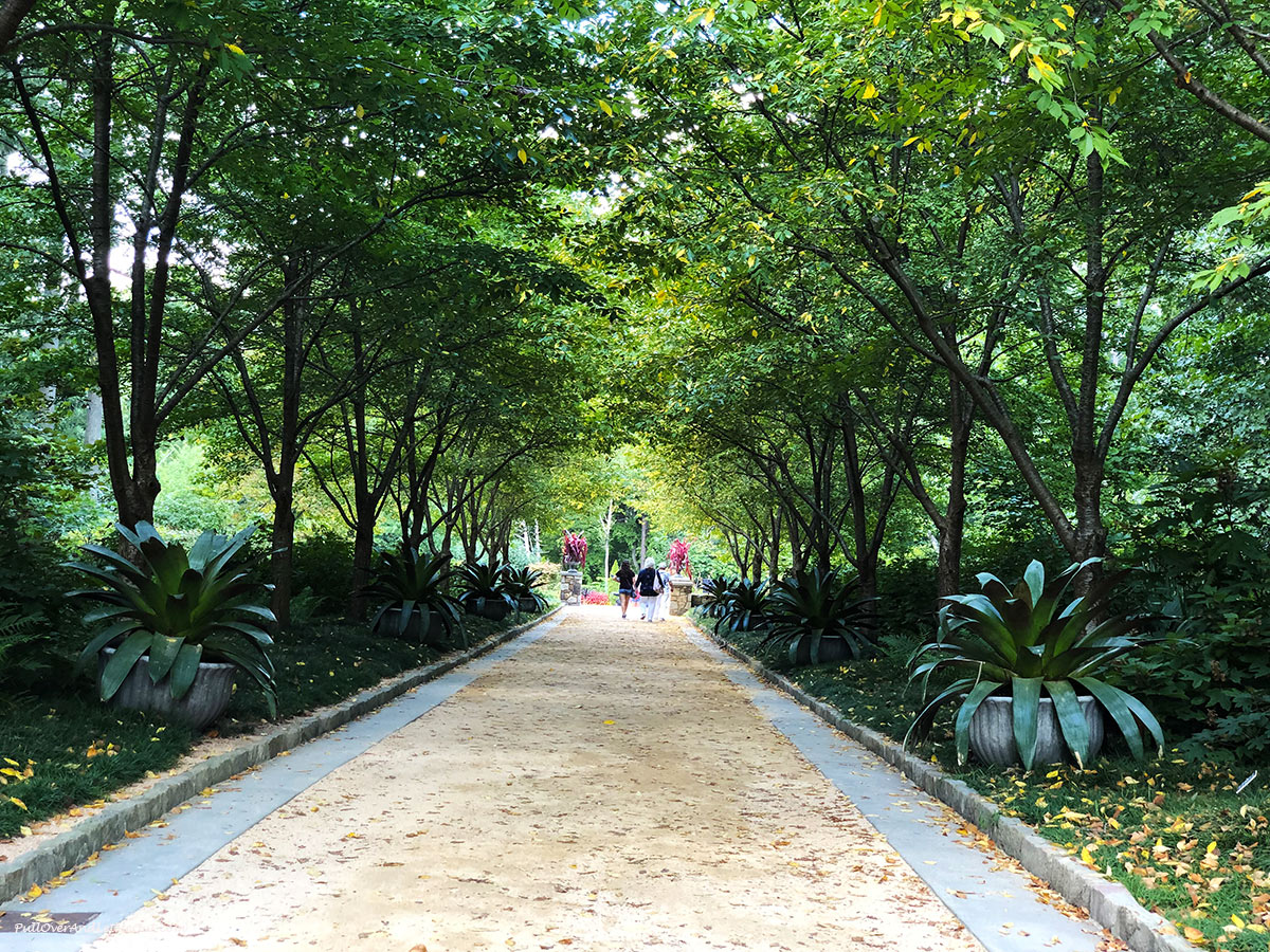 Sarah P. Duke Gardens | A Hidden Gem on the Duke University Campus ...