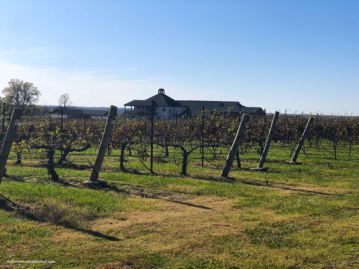 RayLen Vineyards & Winery In The Heart of NC Yadkin Valley Wine Country ...