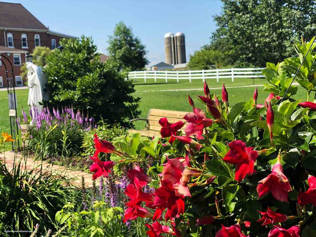 Looking for Miracles at the National Shrine of Our Lady of Good Help in ...