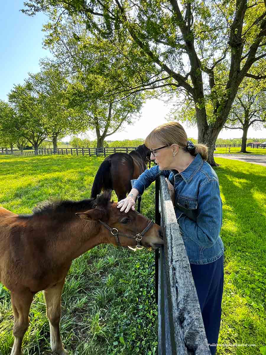 Rosecrest Farm in Paris, Kentucky: Discover Why Time Spent on a Horse ...