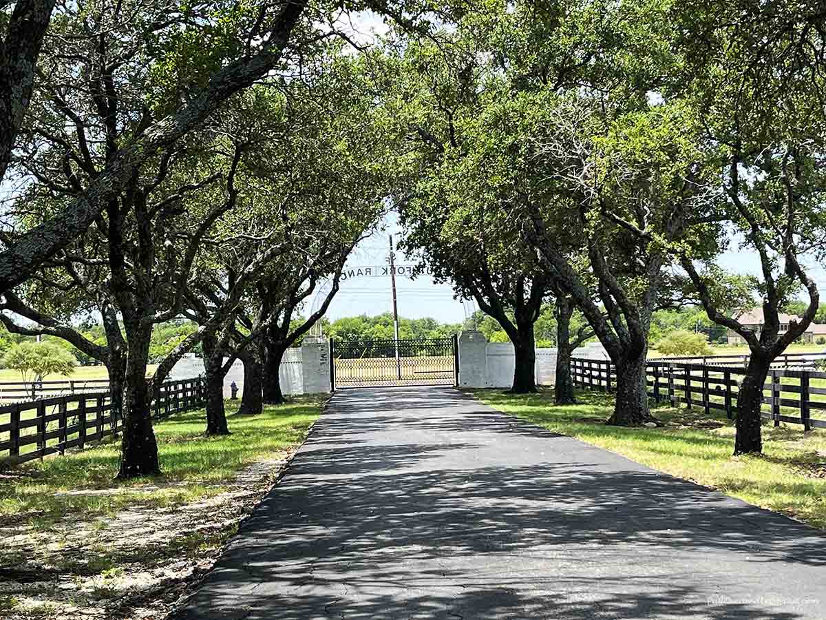 Tour the Southfork Ranch from the Hit TV Show Dallas ...