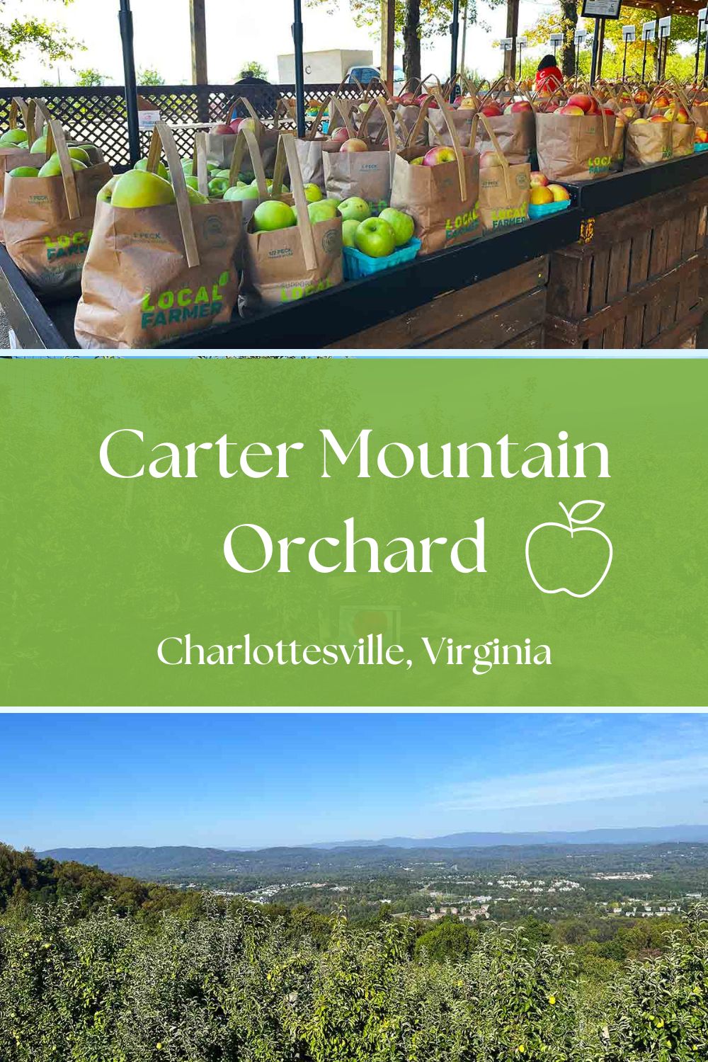 Carter Mountain Orchard: Savoring the Seasons in Charlottesville ...