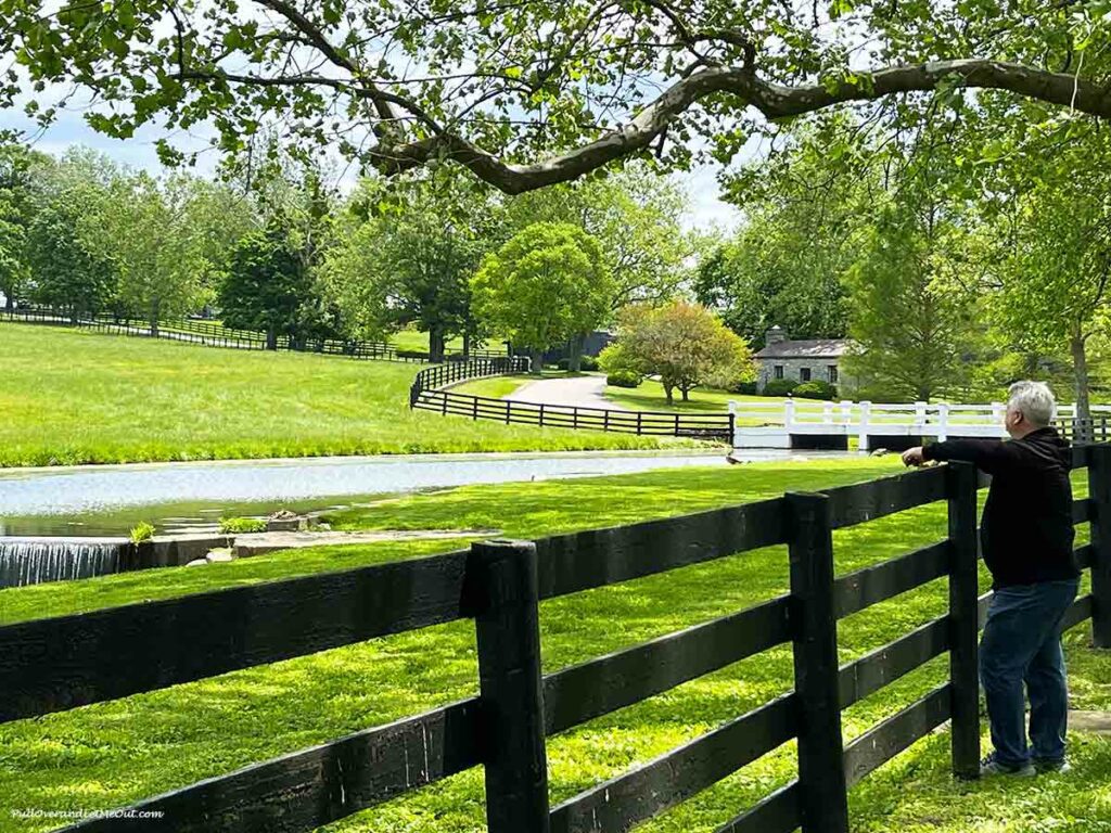 Meet Racing Royalty: Touring Claiborne Farm in Paris, Kentucky ...